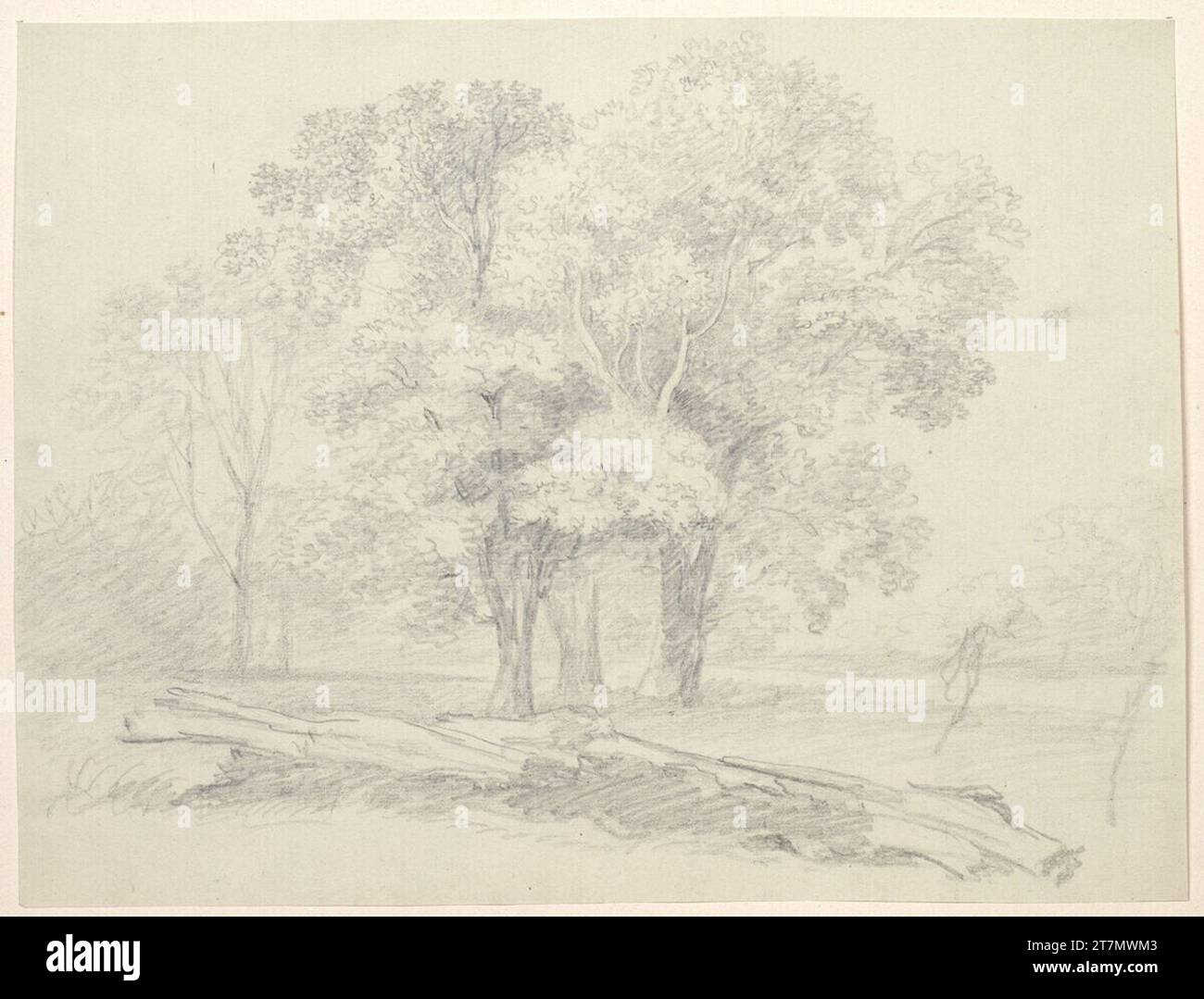 Franz Rechberger Forest piece with large oak on the right and a group ...