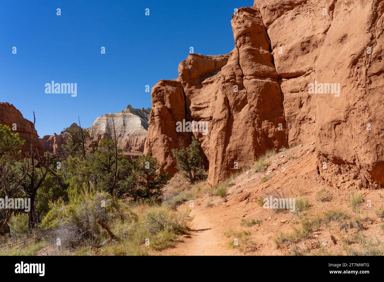The Angel's Palace Trail in Kodachrome Basin State Park in Utah Stock ...