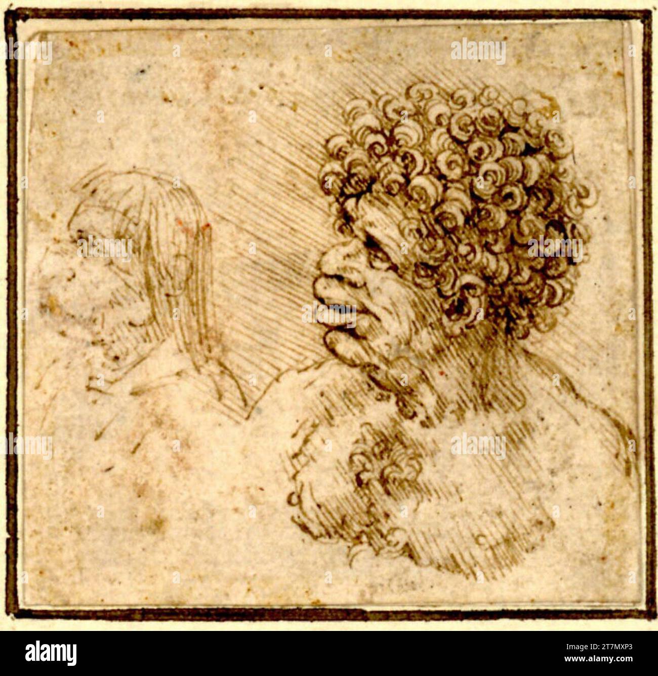 Leonardo da Vinci Two grotesque heads in profile. Feder in brown around ...