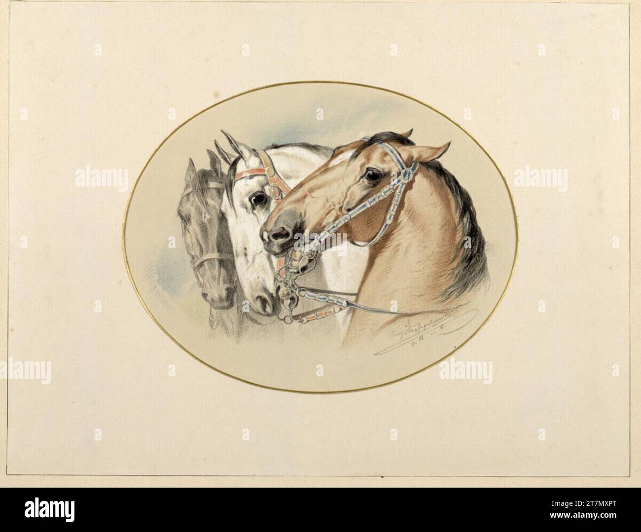 Anton Strassgschwandtner Three horse heads to the left. Colored pencil ...