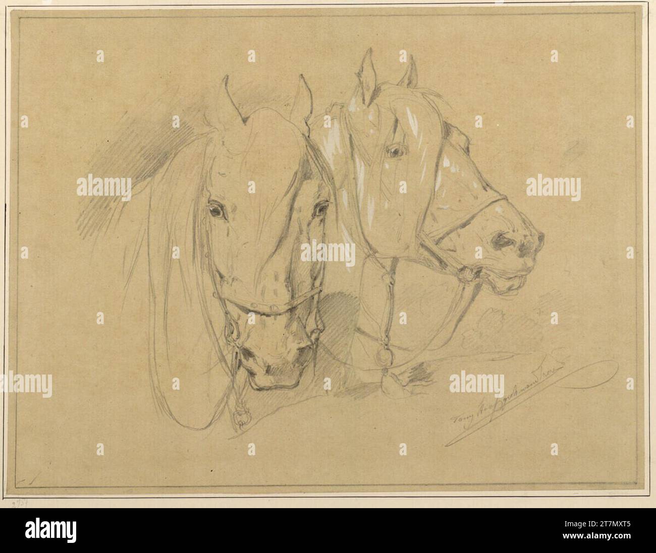 Anton Strassgschwandtner Two horse heads to the right. Pencil around ...