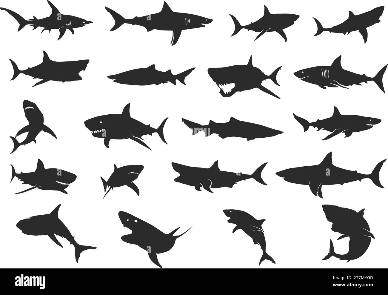 Shark silhouette, Shark silhouettes, Shark icon set, Shark clipart ...