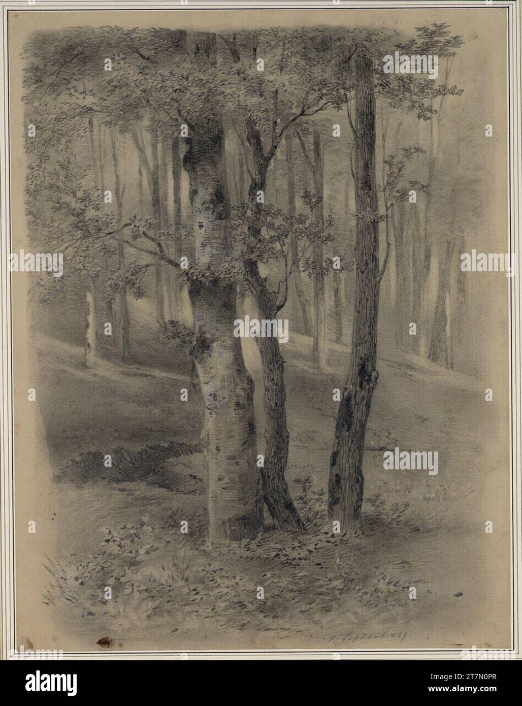 Carl pischinger hi-res stock photography and images - Alamy