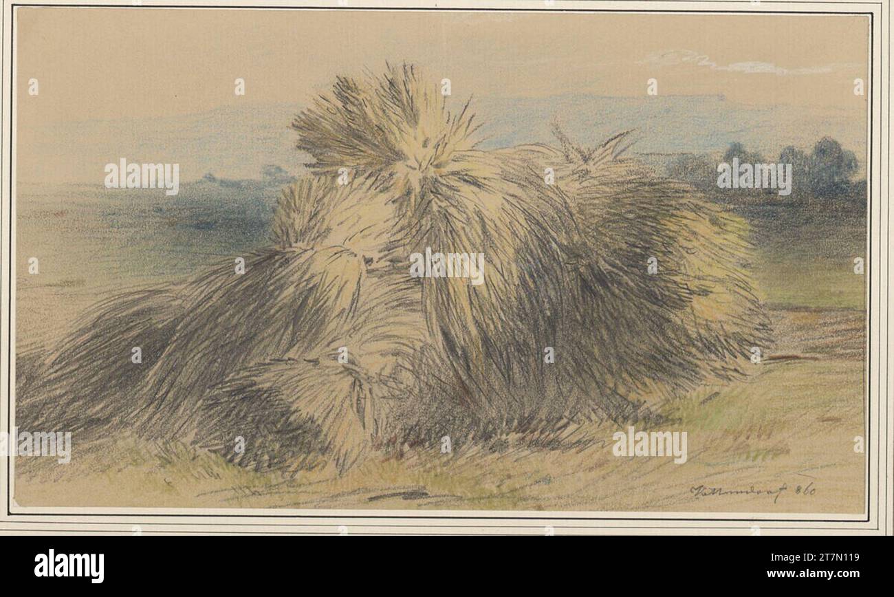 Carl Pischinger Cereal colors. Pencil, colored pencil 1860 , 1860 Stock ...