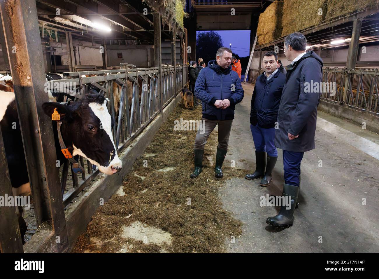 Houthulst, Belgium. 16th Nov, 2023. farmer Marino Leeman, Houthulst ...