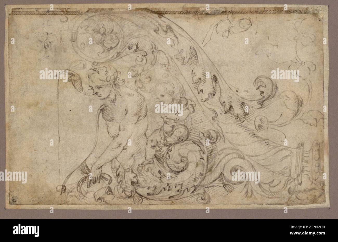 Cesare da Sesto Draft for a coat of arms with a decorative tendril ...