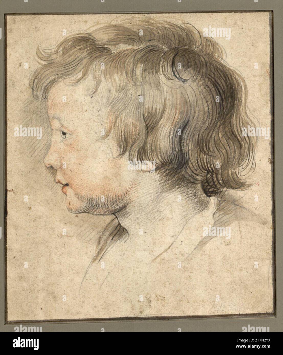 Peter Paul Rubens Albert Rubens in profile to the left. Black chalk ...