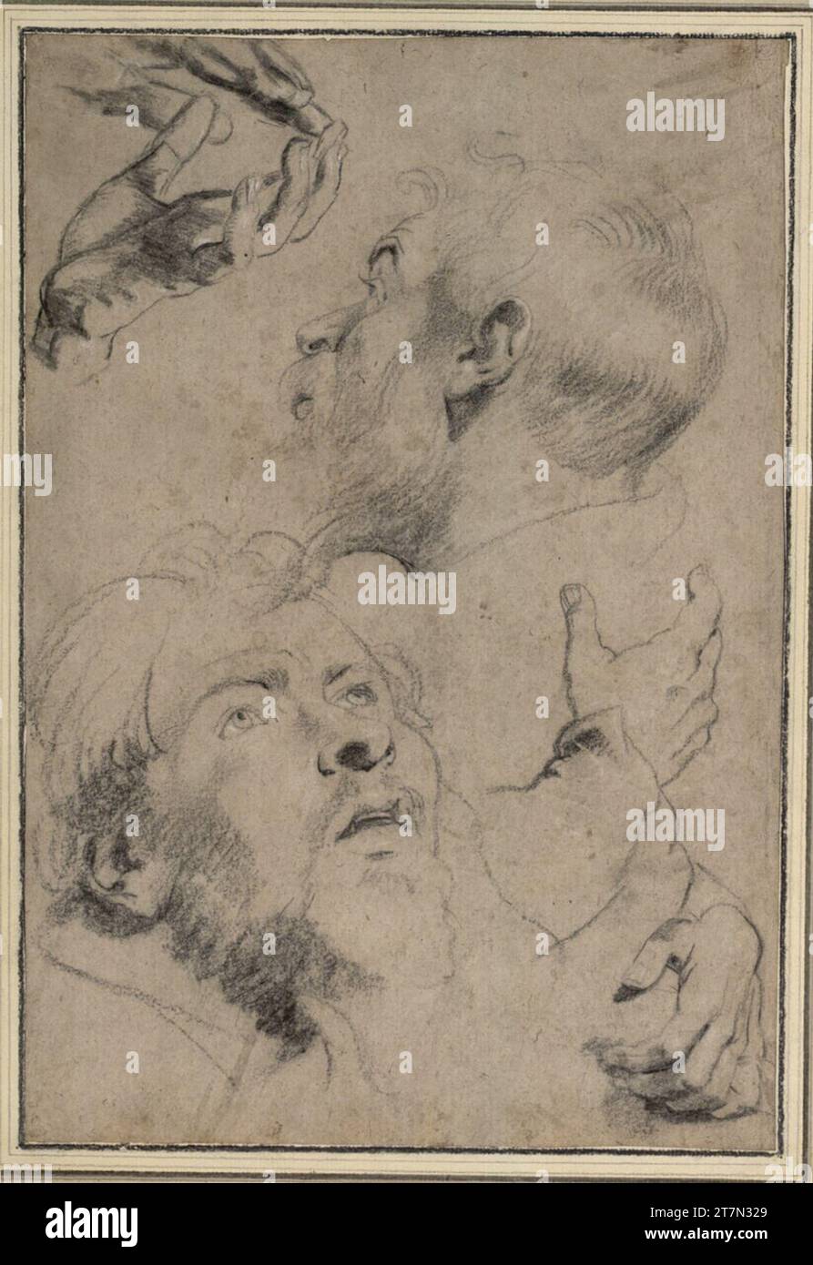 Peter Paul Rubens Study sheet with four hands and two male heads. Black ...