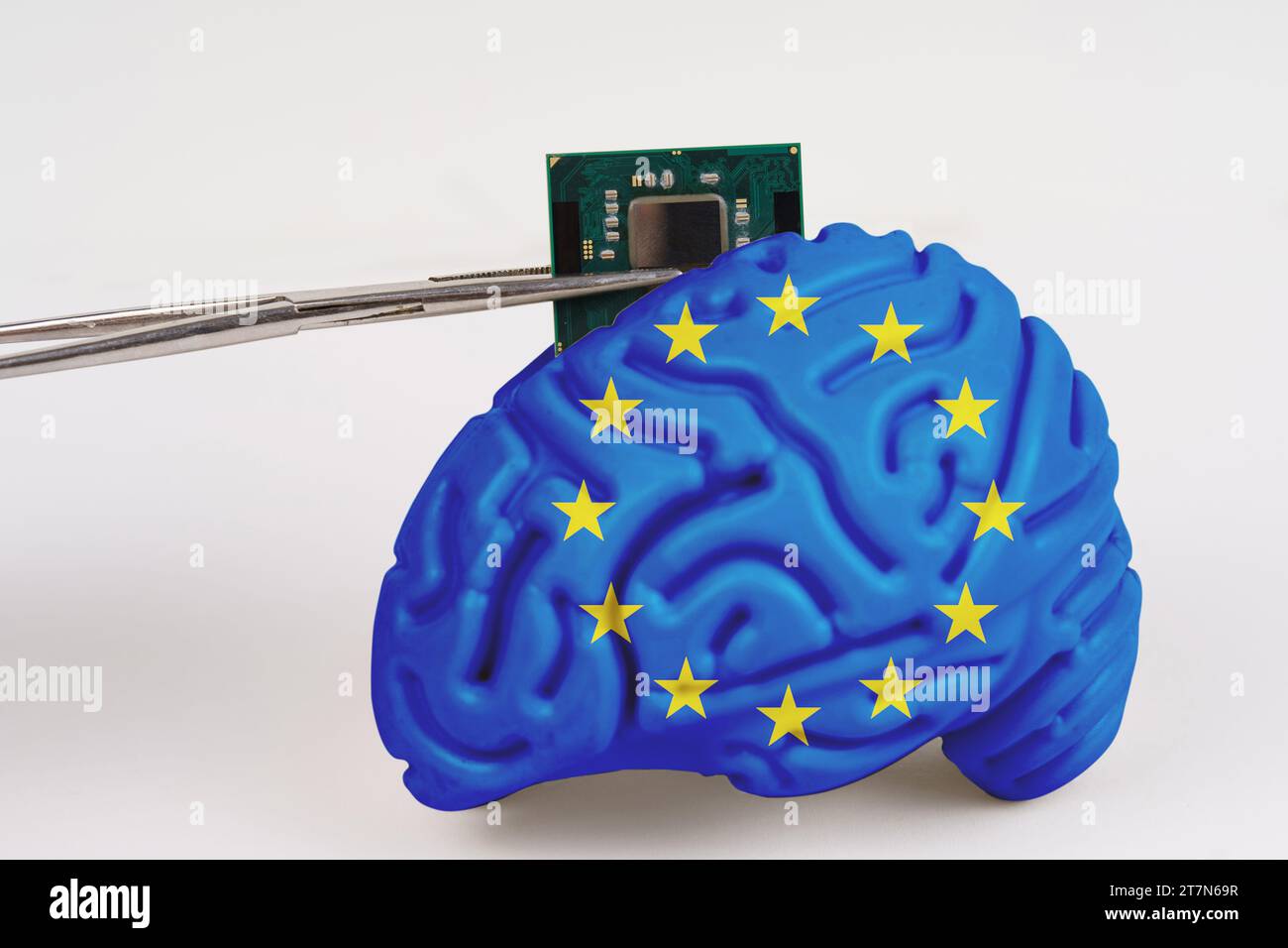 On a white background, a model of the brain with a picture of a flag ...