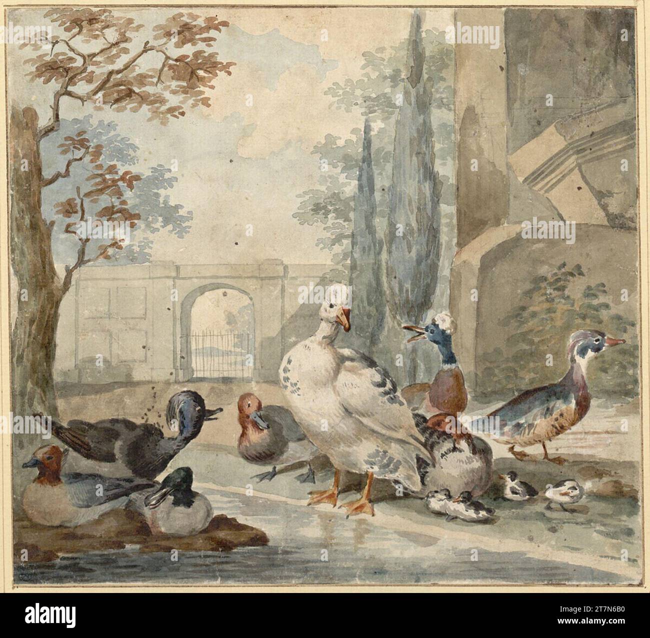 Melchior de hondecoeter birds park hi-res stock photography and images ...