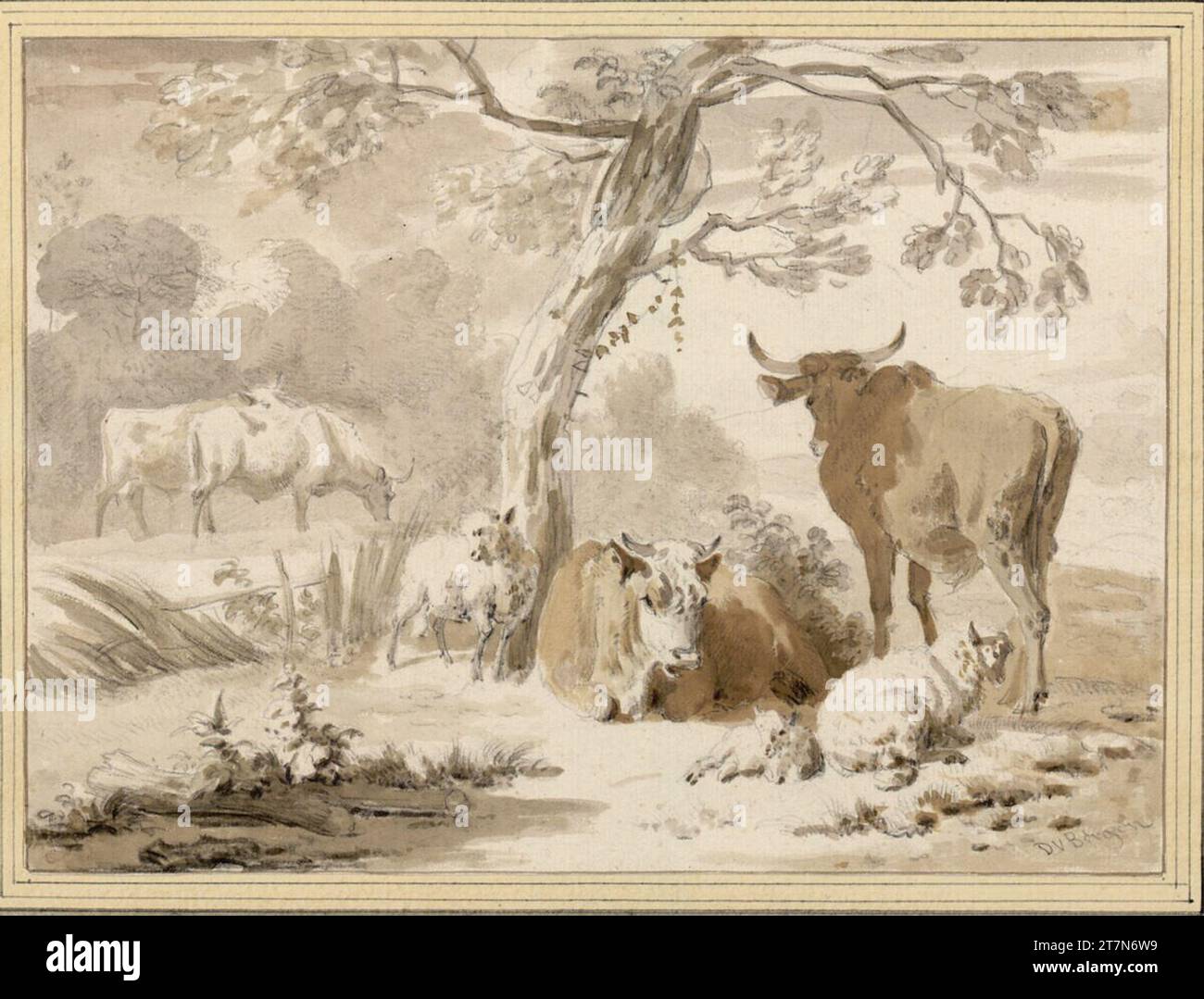 Deck of sheep hi-res stock photography and images - Alamy