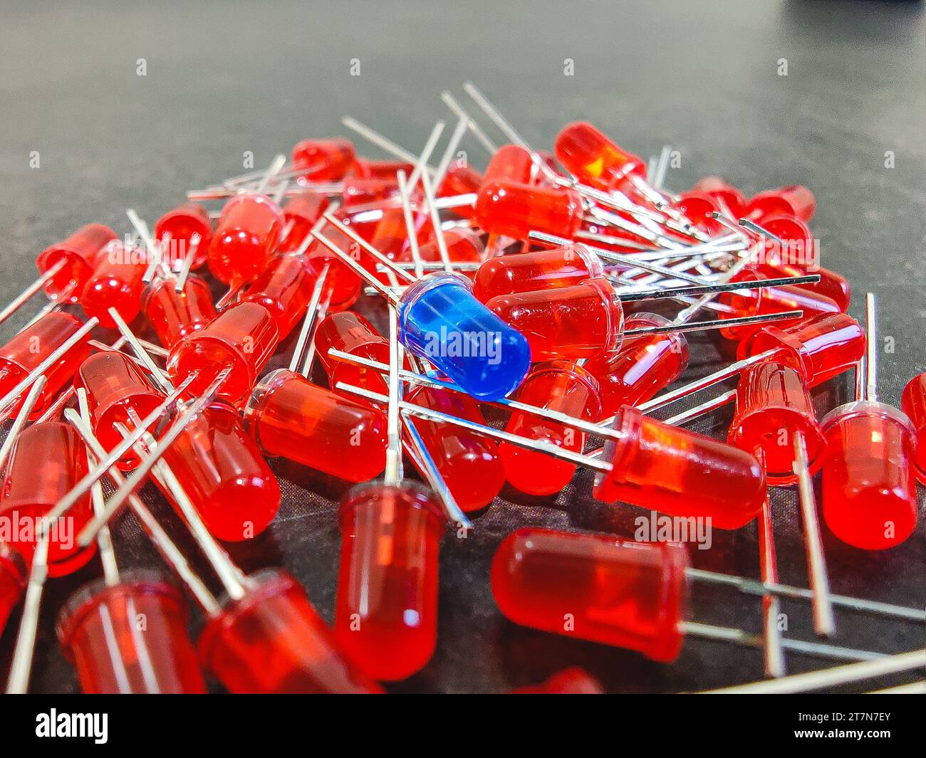 A row of Through Hole led diodes, red and blue color, electronic ...