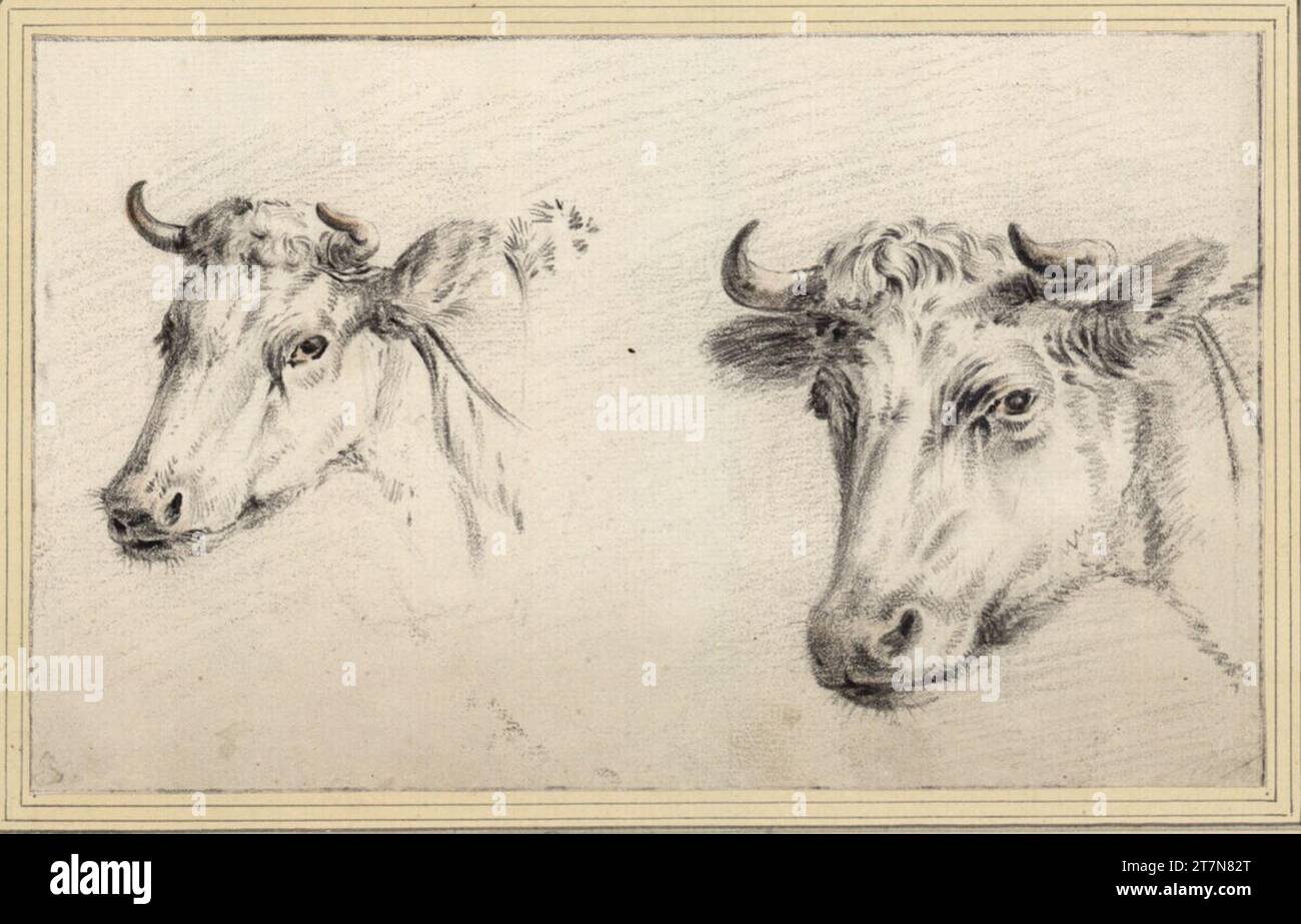 Jan Dasveldt Two head studies of a cow. Black chalk, accentuated with ...