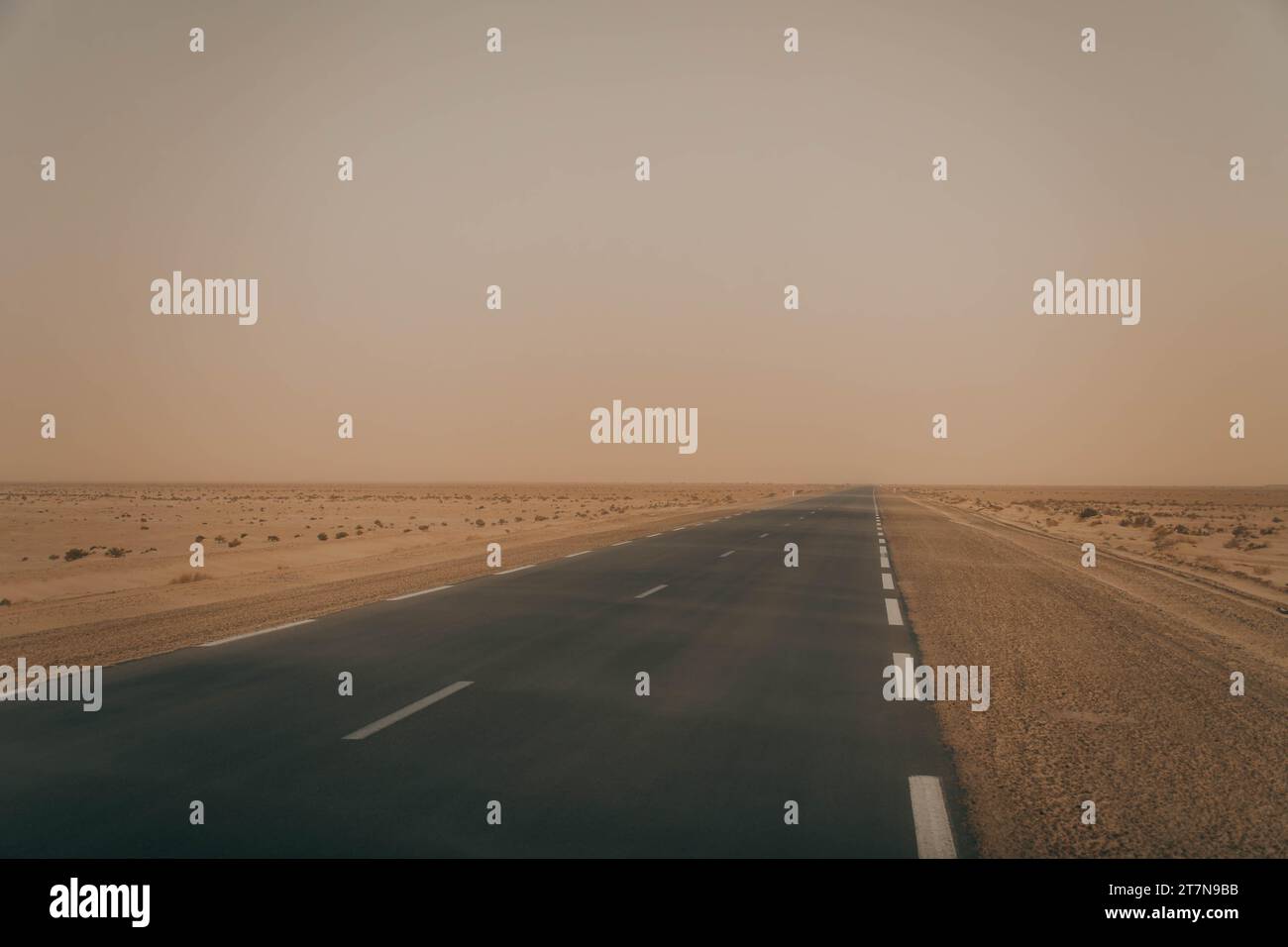 The empty road at desert of Chott el Djerid, dried salt lake in ...