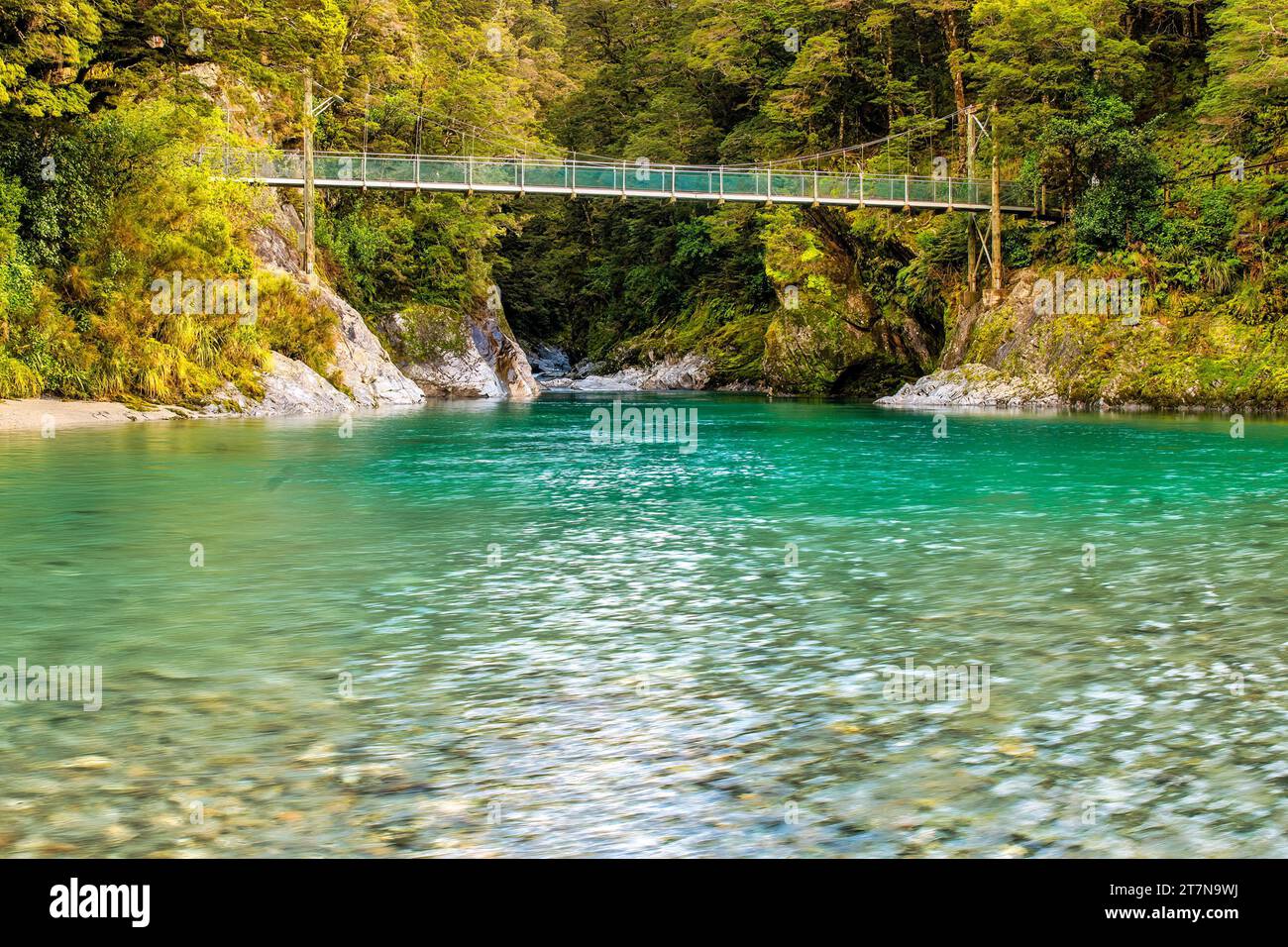 The crystal clear, blue water pools in the Haast area of New Zealand ...