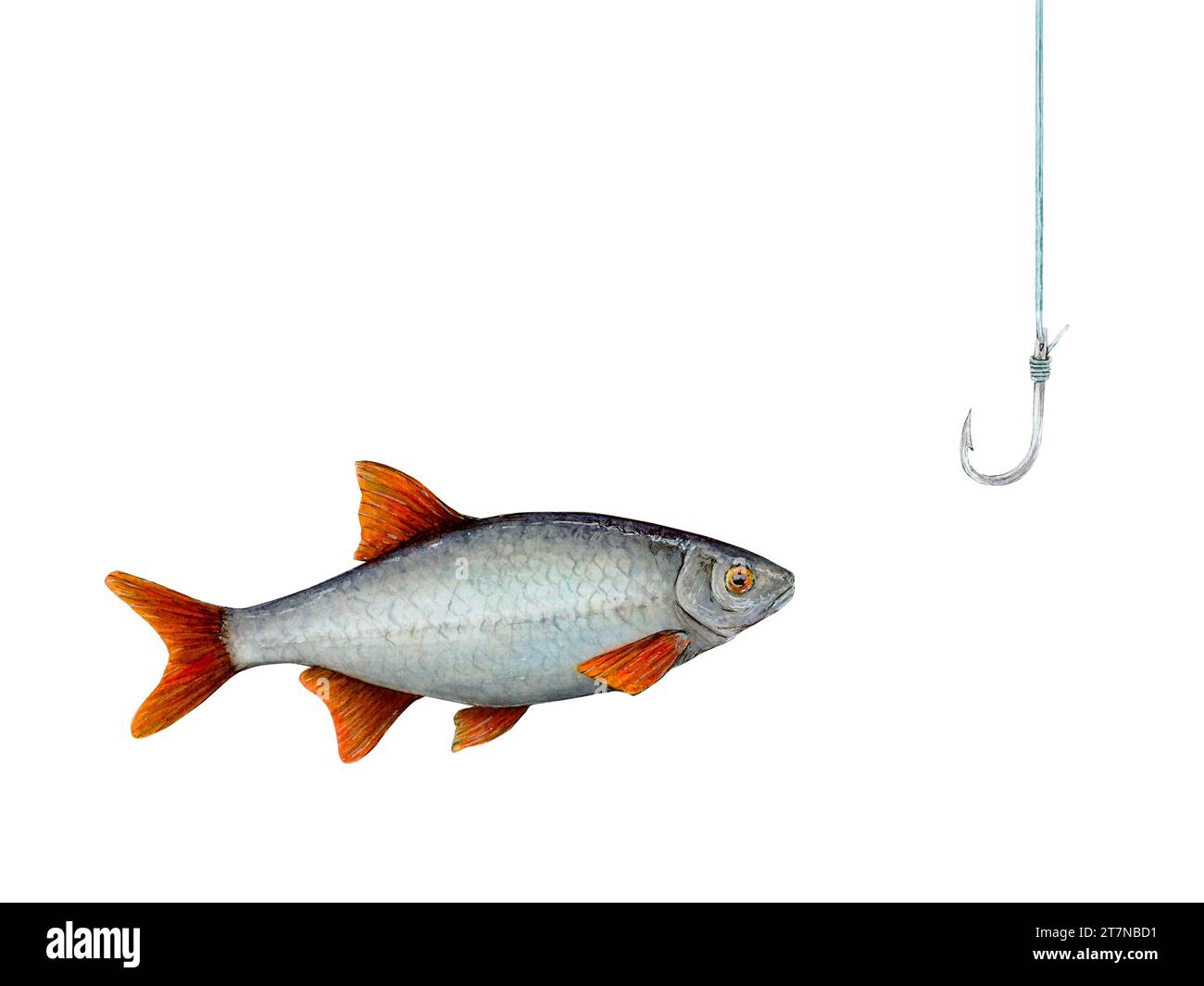 Barbed fish hook Cut Out Stock Images & Pictures - Alamy