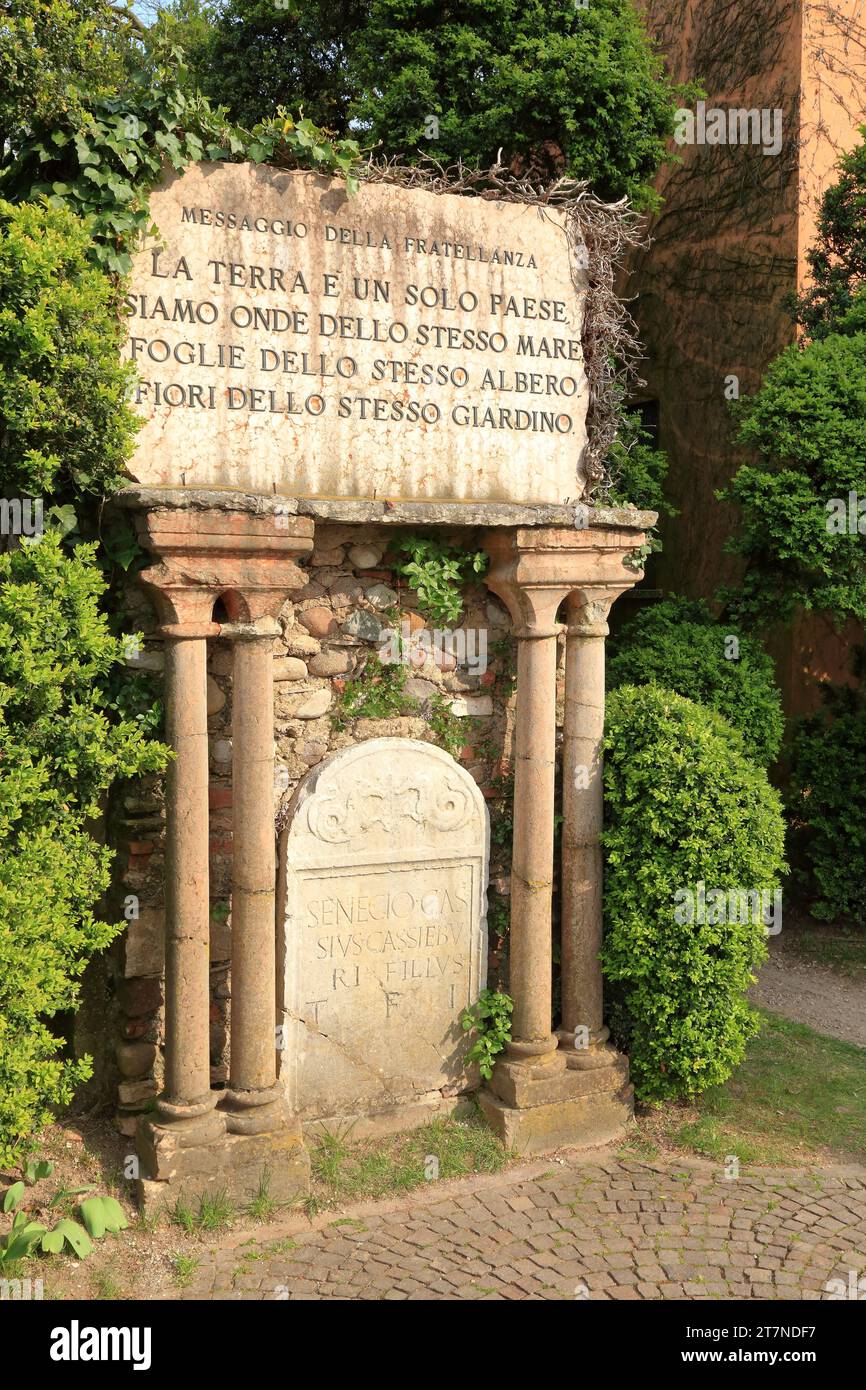 Albero e terra hi-res stock photography and images - Alamy