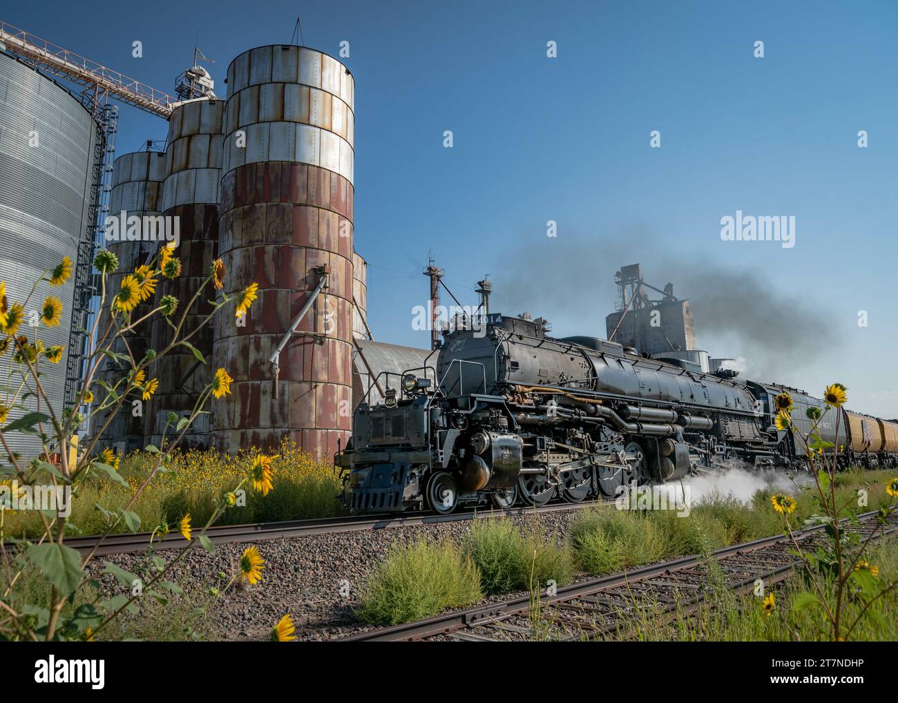 A vintage steam locomotive is driving past a grain silo, billowing ...