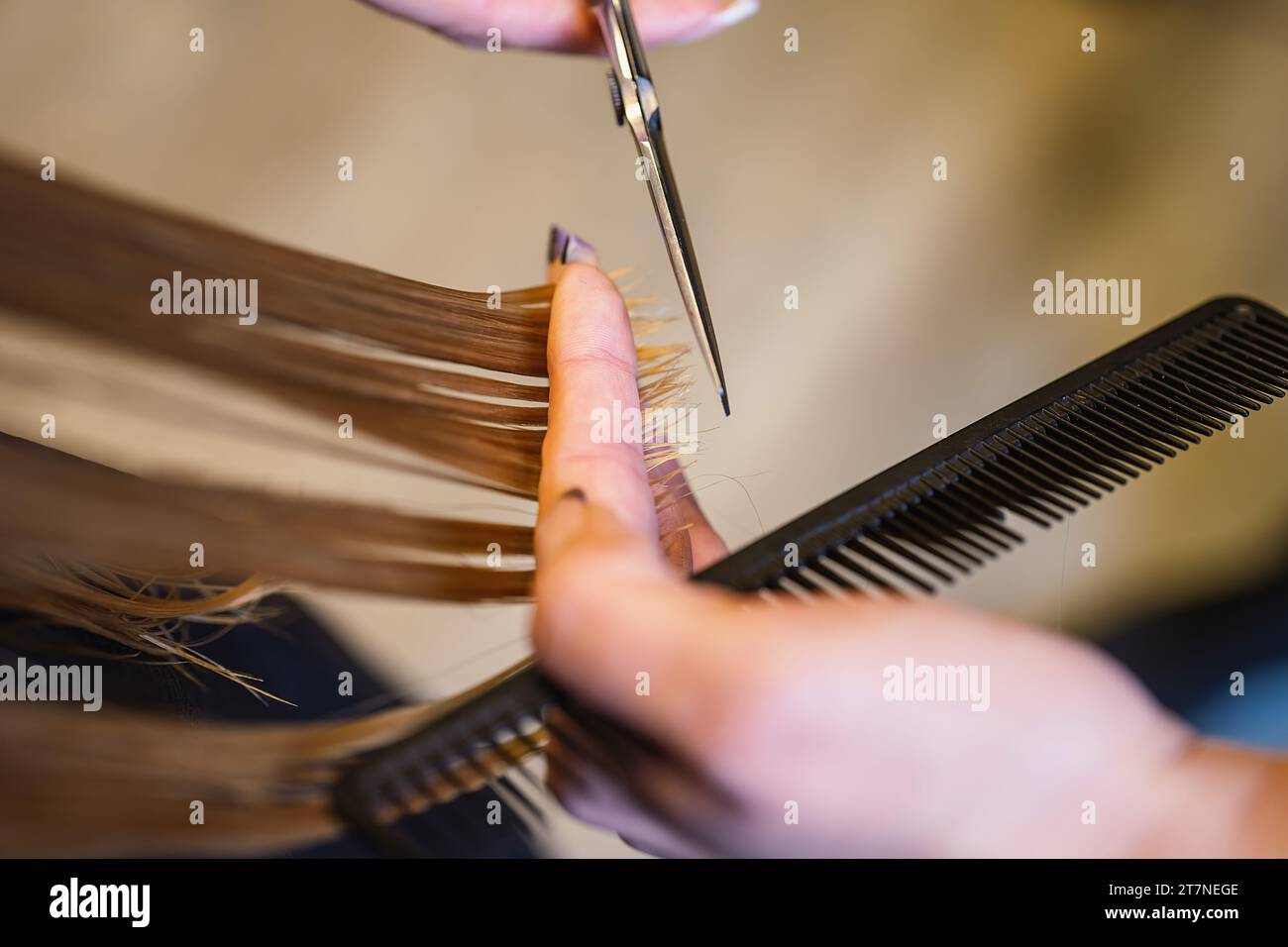 Close-up of haircutting, scissors trimming ends of long brown hair ...