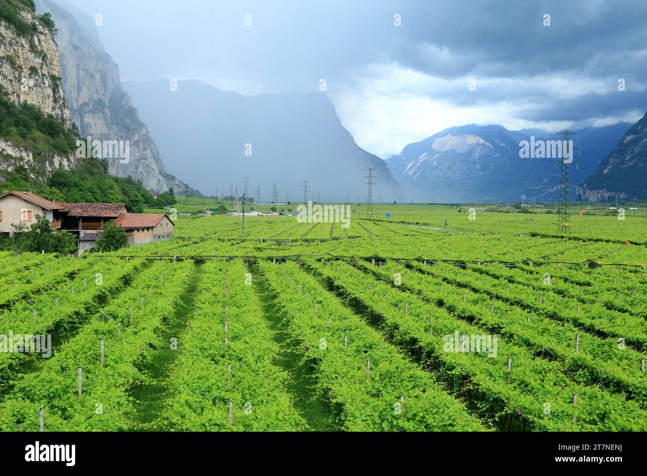 The rainfall hi-res stock photography and images - Alamy