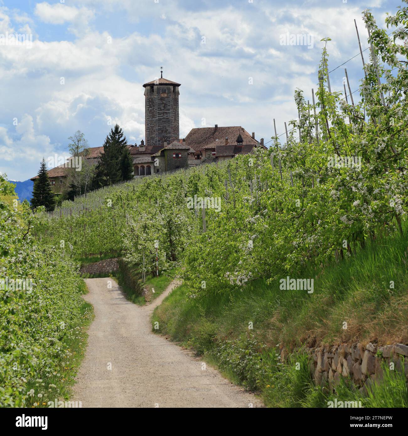 Castel valer hi-res stock photography and images - Alamy