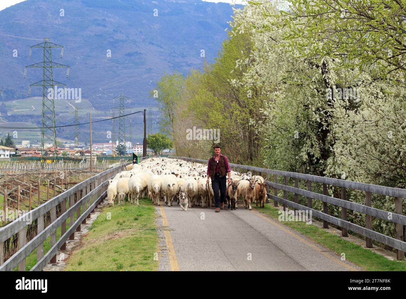 Matpics hi-res stock photography and images - Alamy