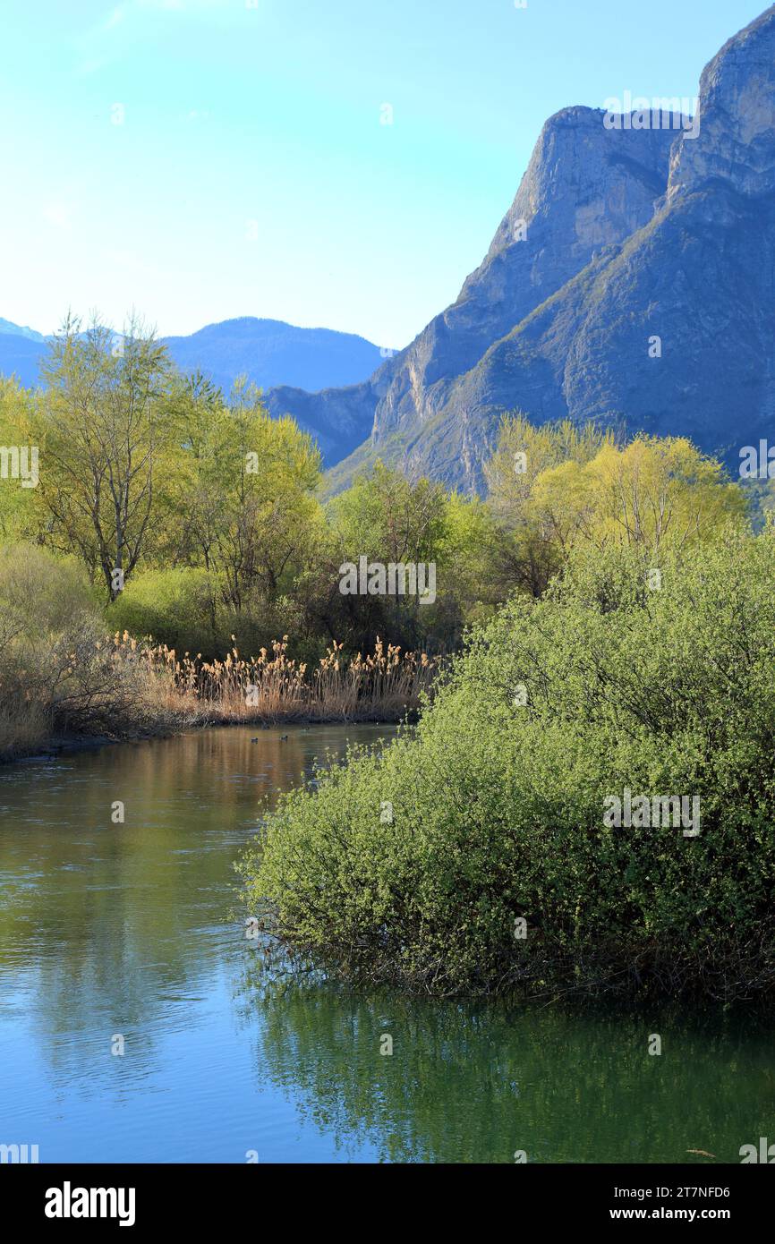 Fiume noce hi-res stock photography and images - Alamy