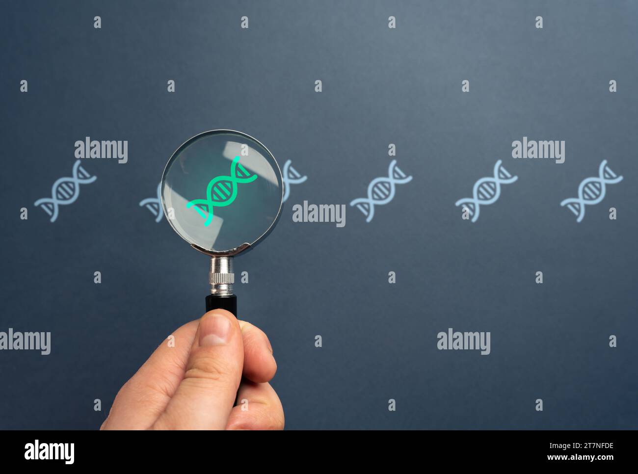 Inheritance confirmation hi-res stock photography and images - Alamy