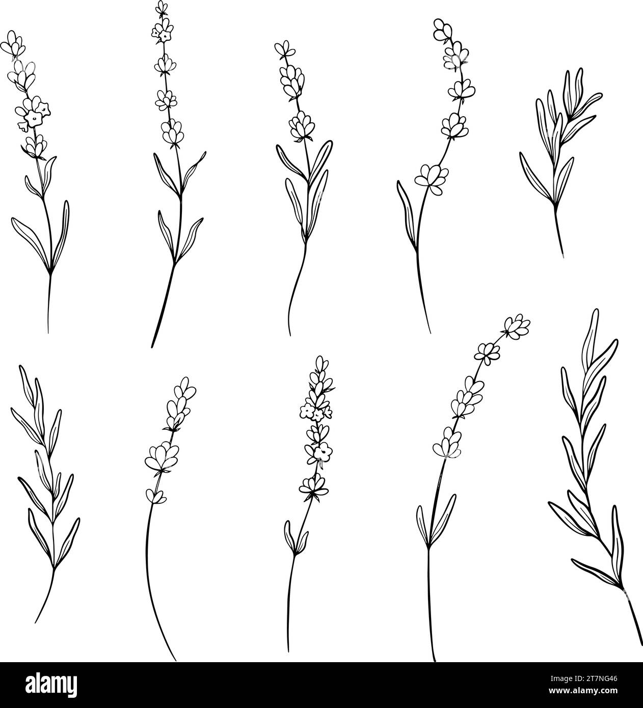 Line engraving art hi-res stock photography and images - Alamy