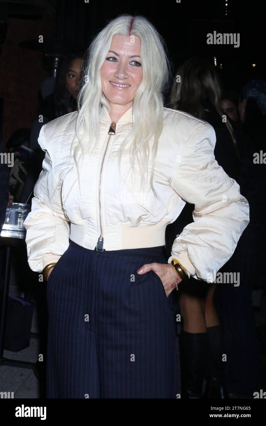 NEW YORK, NY- NOVEMBER 15: Trish Summerville at the screening of The ...