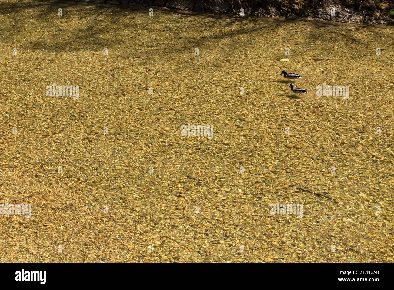 River rock texture background pattern Stock Photo - Alamy