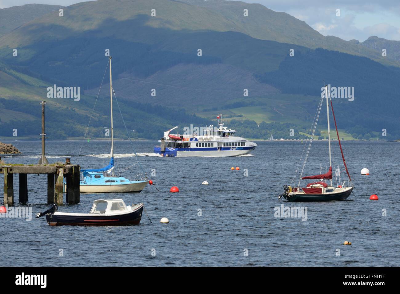 Caledonian marine assets hi-res stock photography and images - Alamy