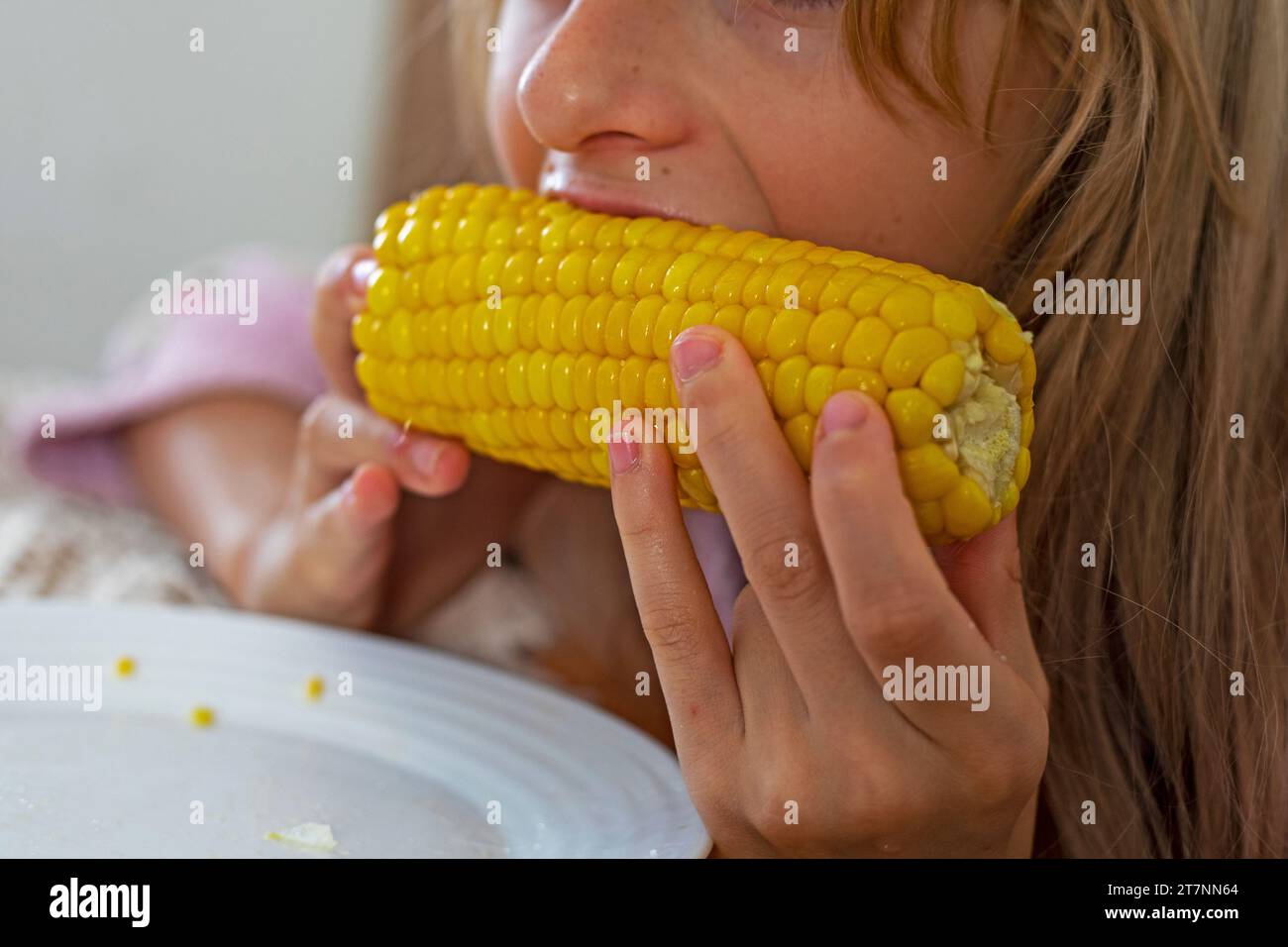 girl eating hot yellow sweet corn with salt and butter holding it with ...