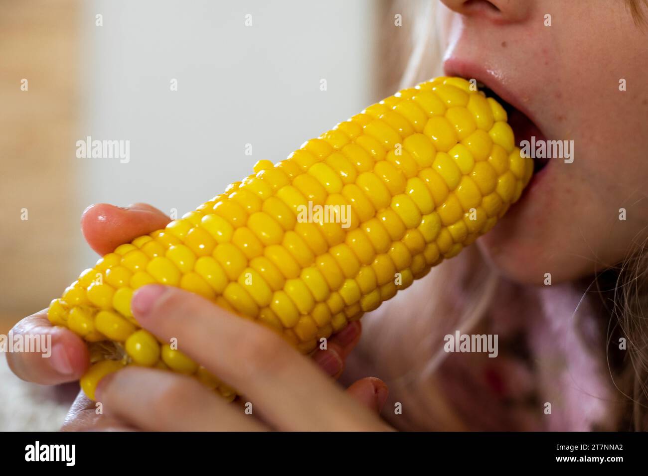 girl eating hot yellow sweet corn with salt and butter holding it with ...