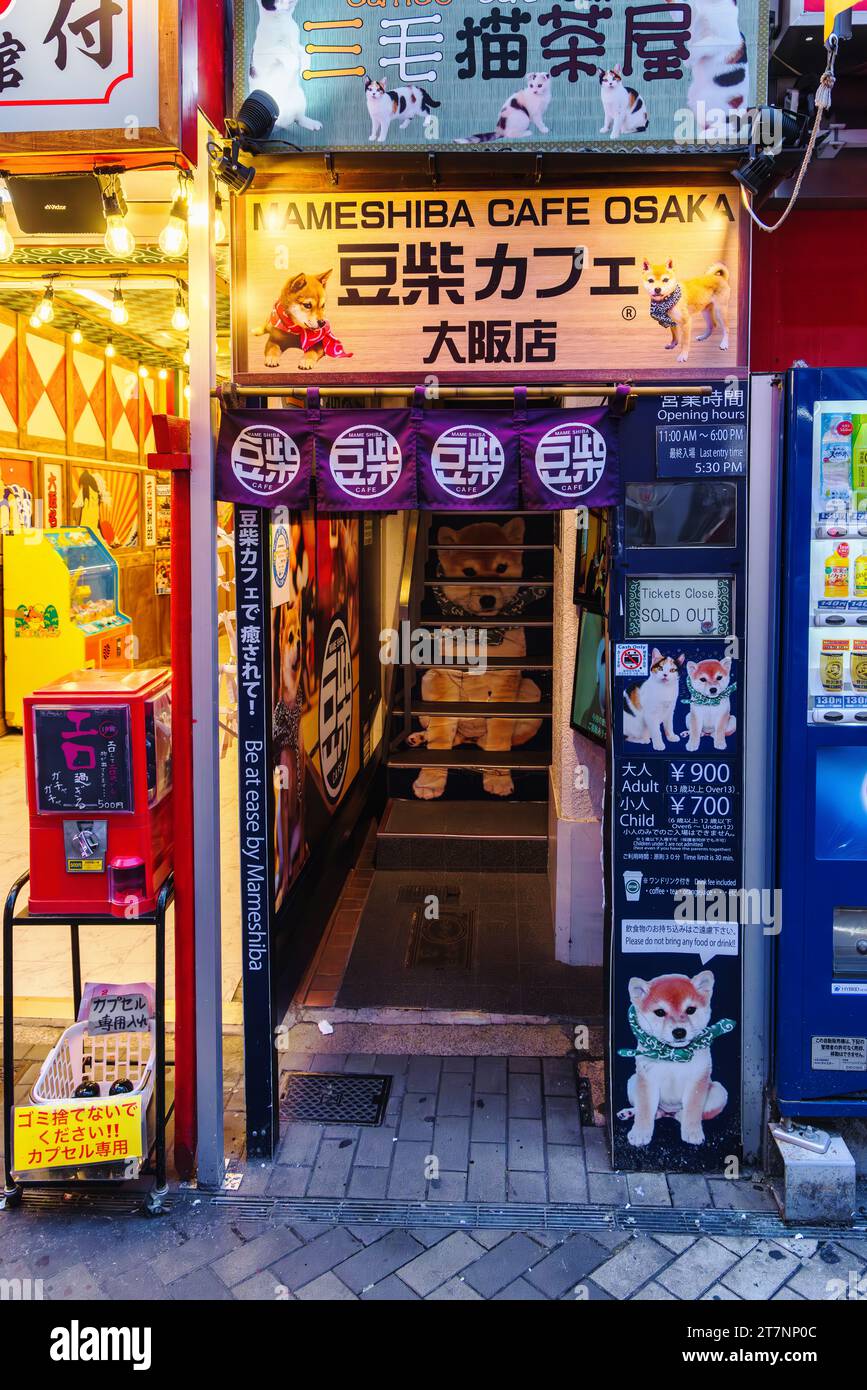 Osaka, Japan - April 13, 2023: unique dog cafe in the Dotonbori area ...