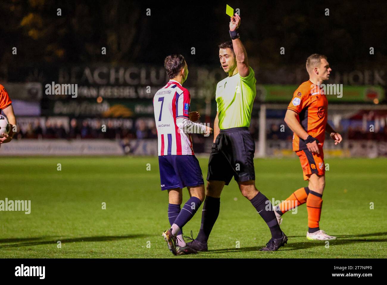 Ouali hi-res stock photography and images - Alamy