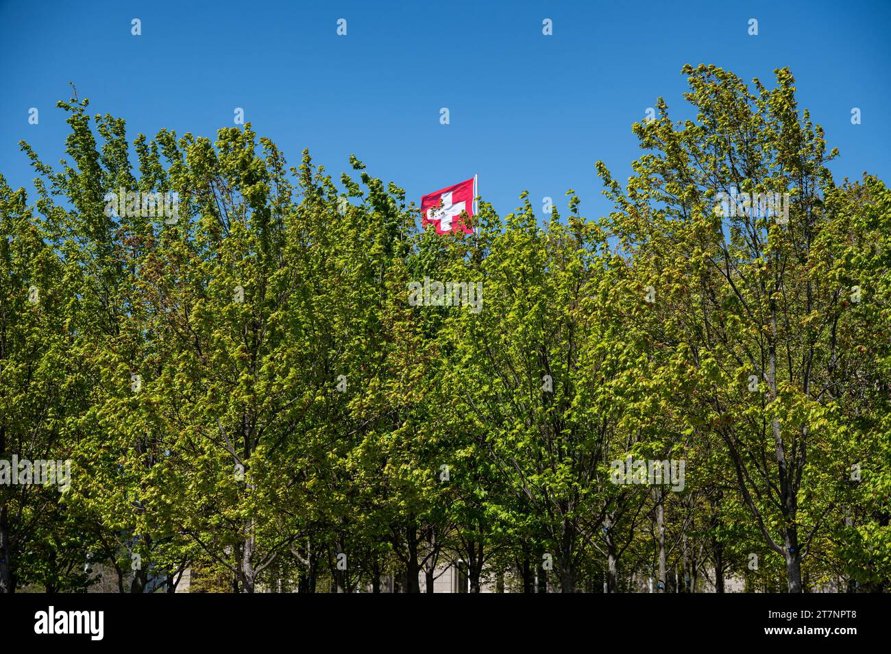 08.05.2023, Berlin, Germany, Europe - The national flag of Switzerland ...