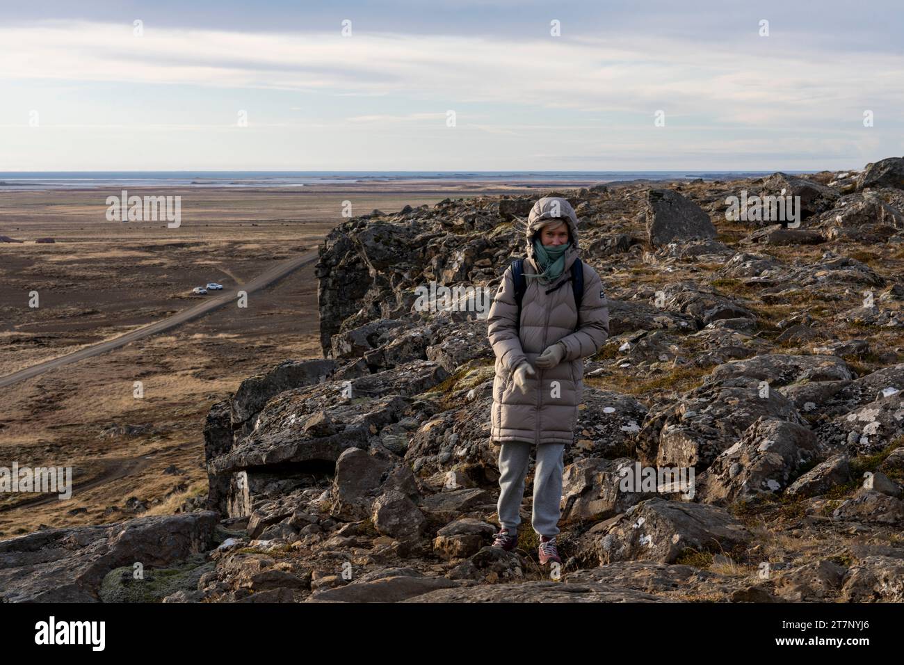 Gerduberg basalt columns and tourist in Snaefellsnes Peninsula Iceland ...