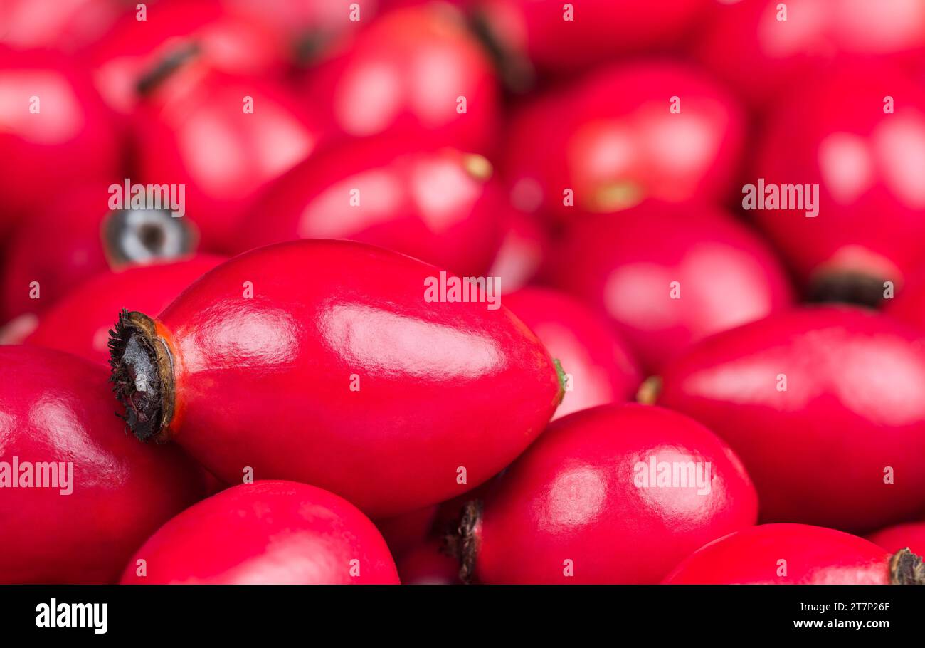Wholesome lutein hi-res stock photography and images - Alamy