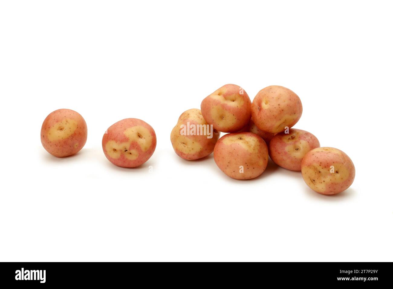 A studio illustration of a pile of moist, creamy, nutritious, red ...