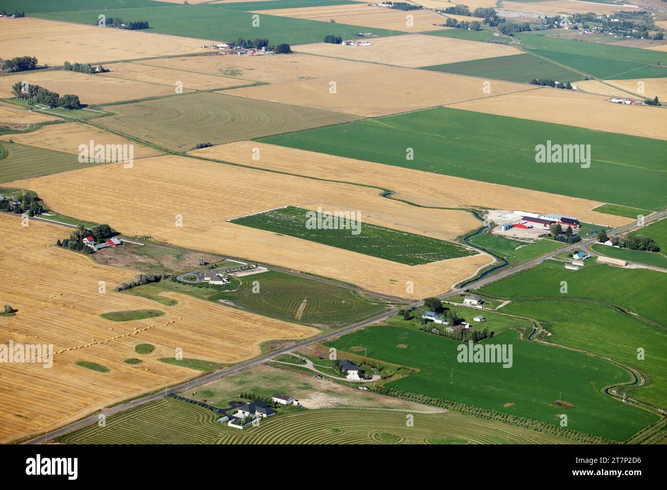 An aerial view of irrigated farmland growing wheat, barley, alfalfa ...