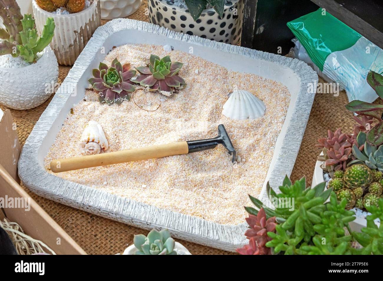 Decorative sand zen garden kit sold on market Stock Photo - Alamy