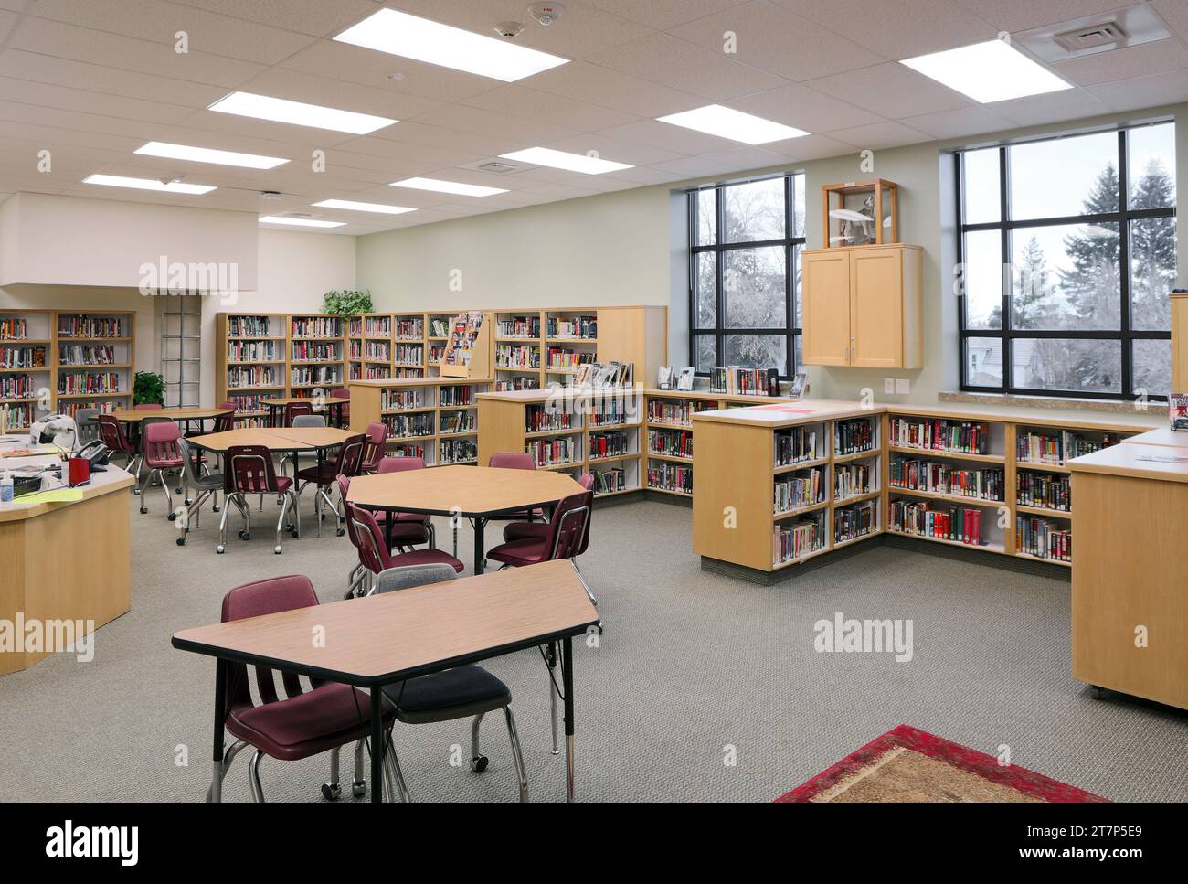 The media center and library in a modern alternative public high school ...