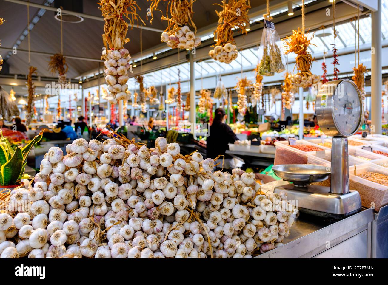 Bolhao Market, Mercado do Bolhão, vendor stall selling fresh garlic at ...