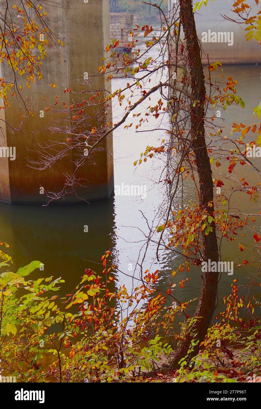 Gorgeous copper leaf color hi-res stock photography and images - Alamy