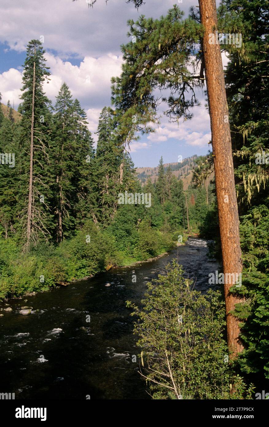 Wenaha Wild & Scenic River, Wenaha-Tucannon Wilderness, Umatilla ...
