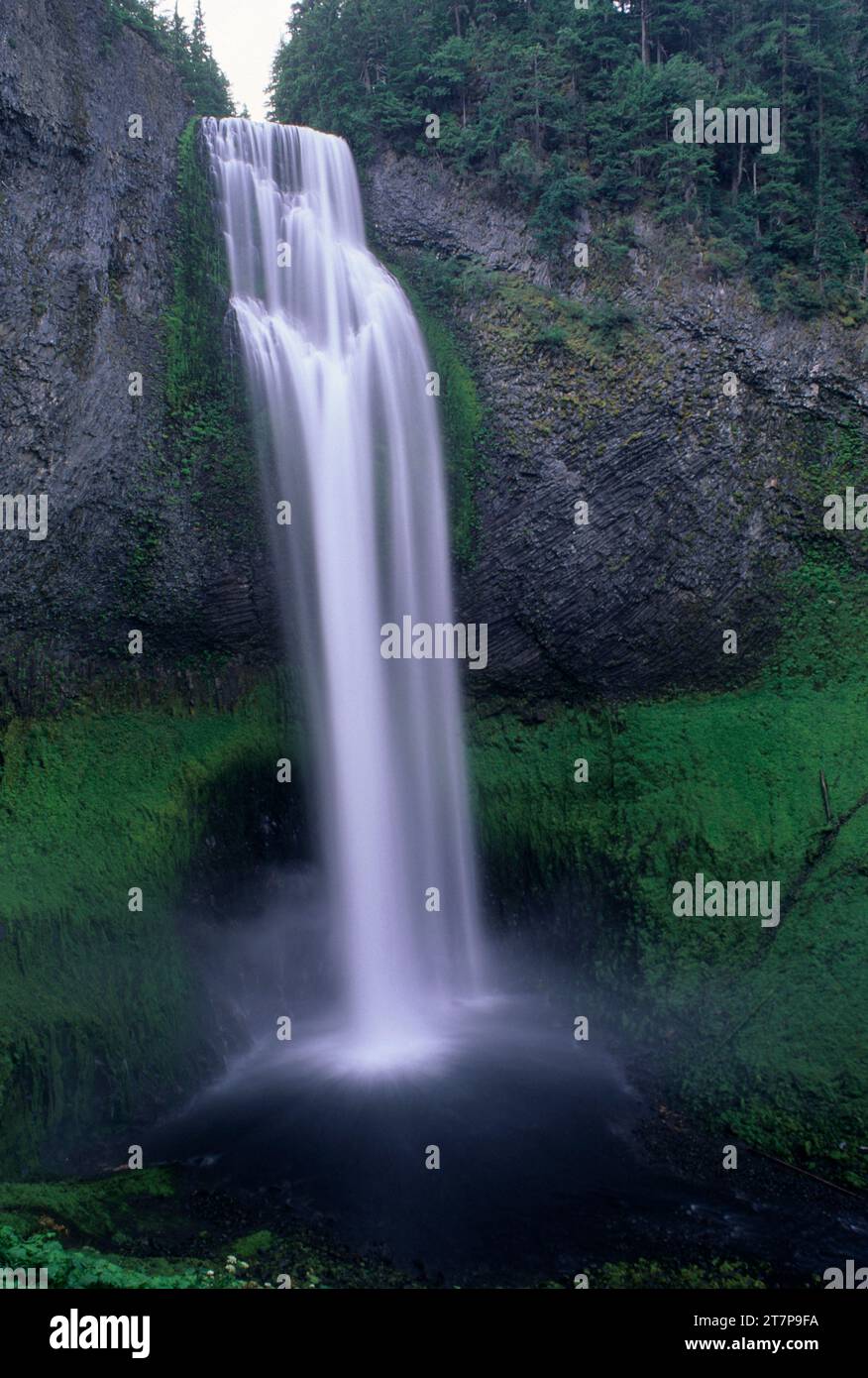 Salt Creek Falls, Willamette National Forest, Oregon Stock Photo - Alamy