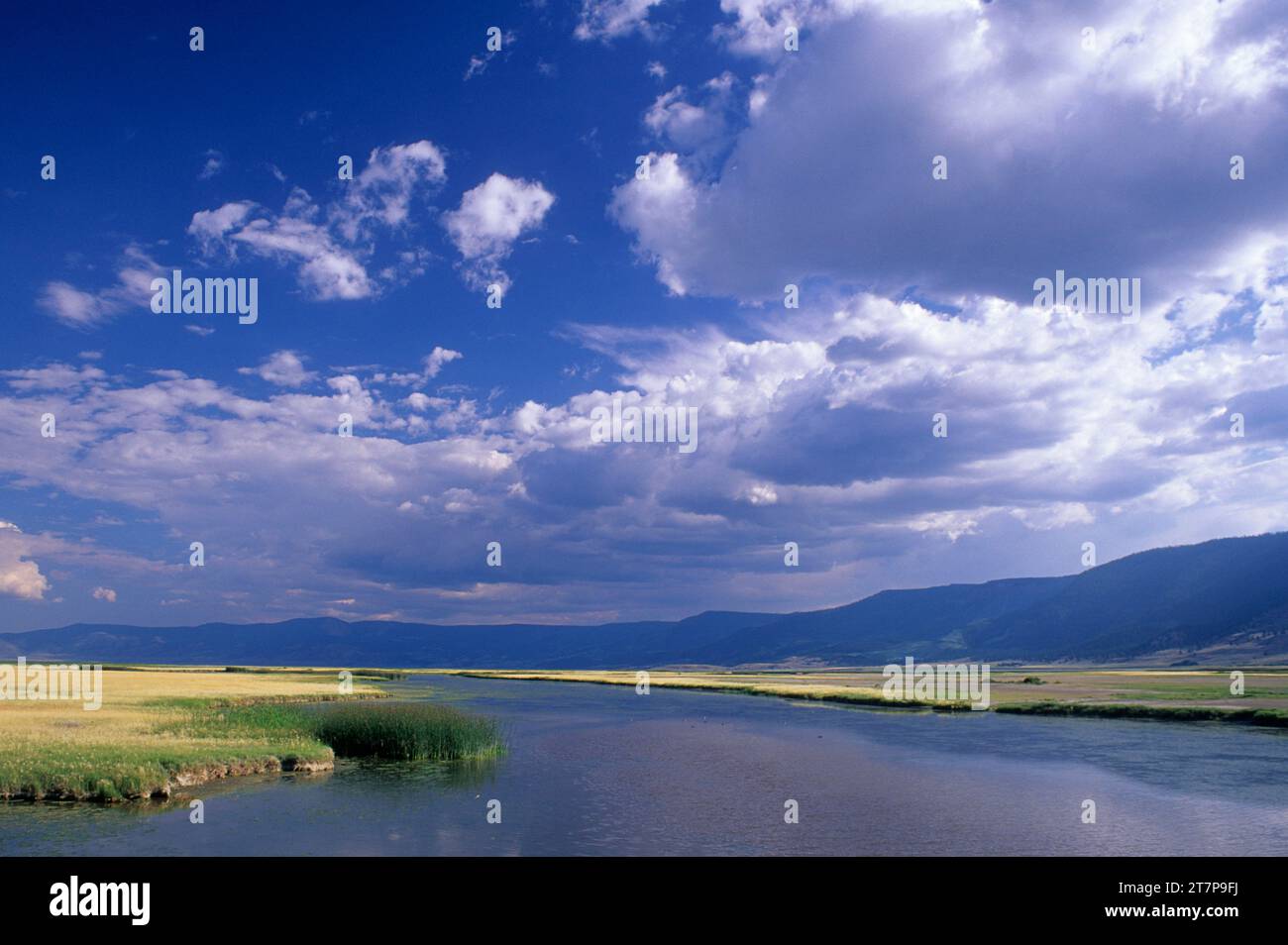 Ana river summer lake wildlife hi-res stock photography and images - Alamy
