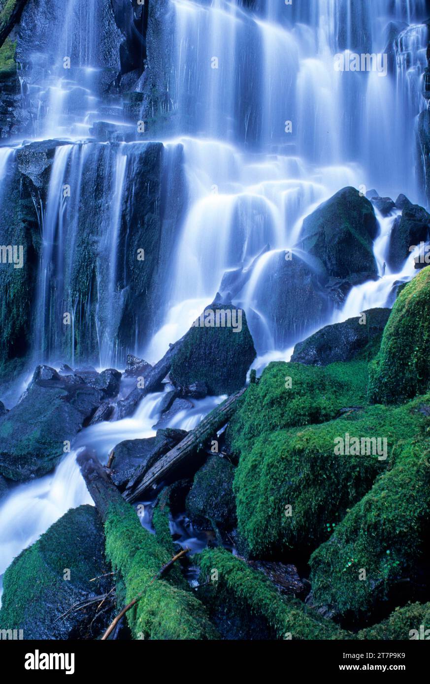 Erma Bell Falls, Three Sisters Wilderness, Willamette National Forest ...
