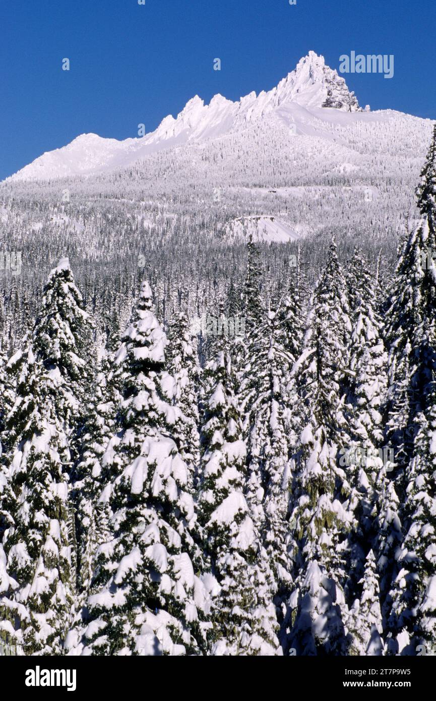 Three Fingered Jack, Mt Jefferson Wilderness, Willamette National Forest, Oregon Stock Photo - Alamy